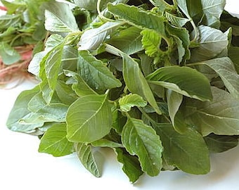 Thotakura Seeds - Etsy