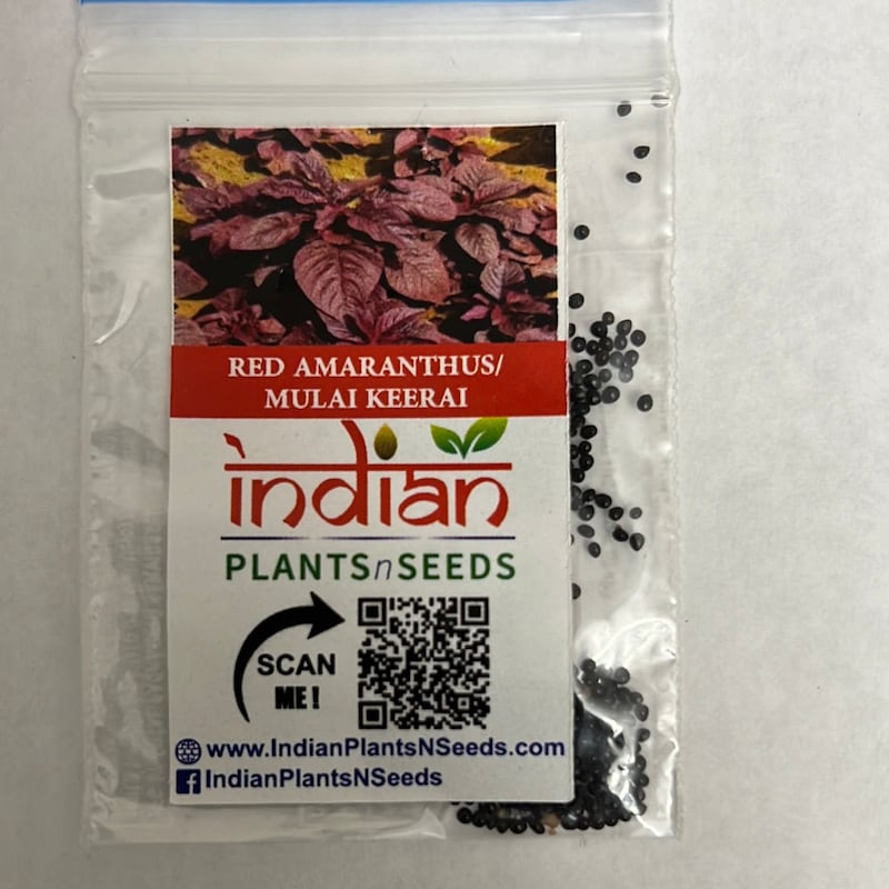 IndianPlantsNSeeds - Etsy