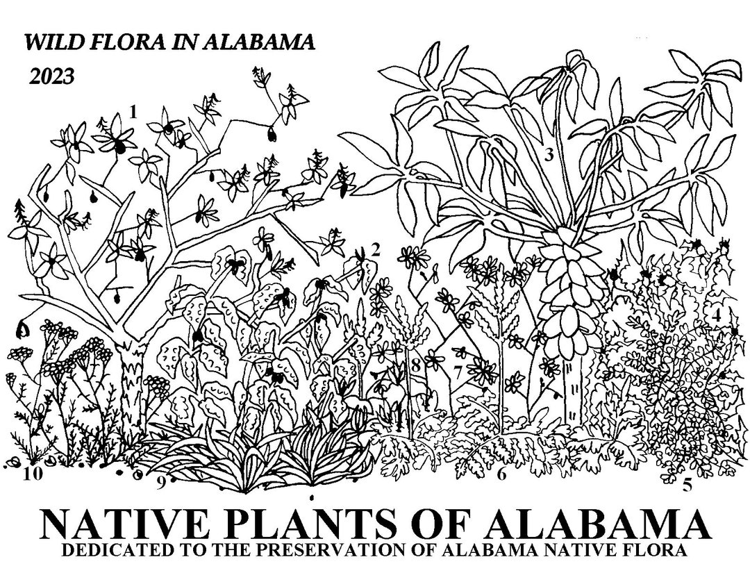 Native Plants of Alabama Artwork SCREEN PRINTED LIMITED (choose Your ...