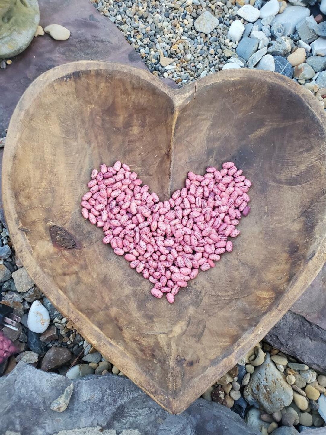 Bean Seeds , TOPAZIO HORTICULTURAL. Buy 1 Get 1 at 50% Off, Buy 2 Get 1 ...