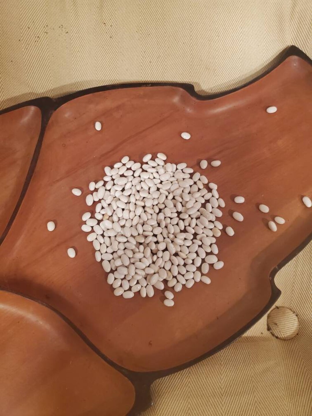 White Half Runner Mountain Bean Seeds, Open Pollinator, Heat Resistant ...