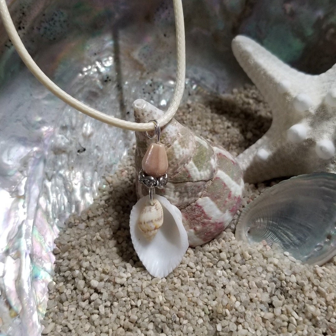 Nestled Cardium Shell and Nassa Shell Wire Necklace - Etsy