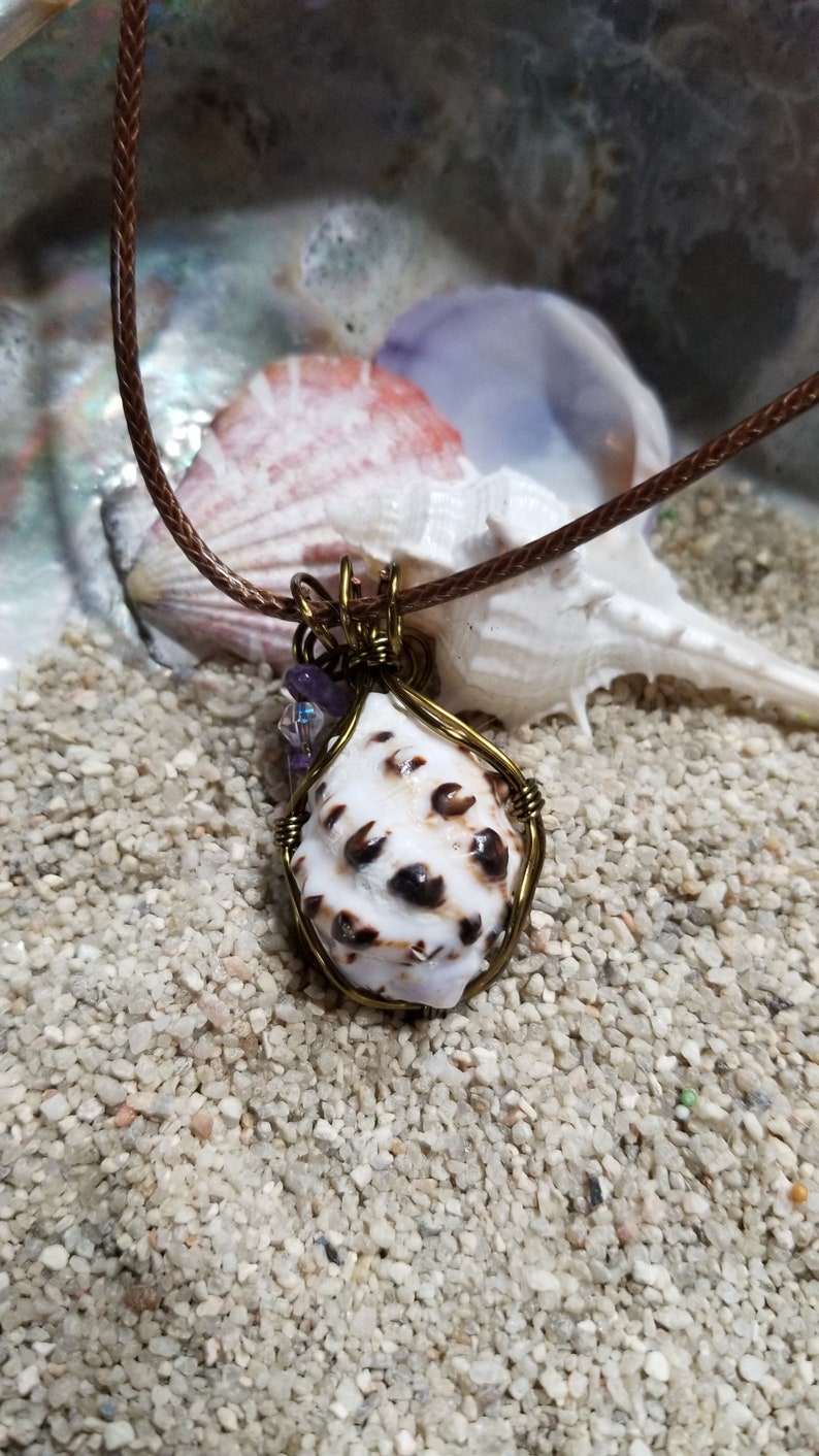 Hawaiian Drupe Shell Wire Wrapped Necklace - Etsy