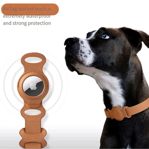 E Collar Holder at Tyler Mckinley blog