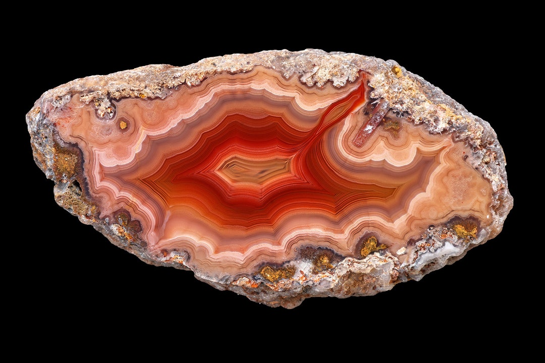 Laguna Agate From Mexico Collectors Grade Tight Banding Parallax and ...
