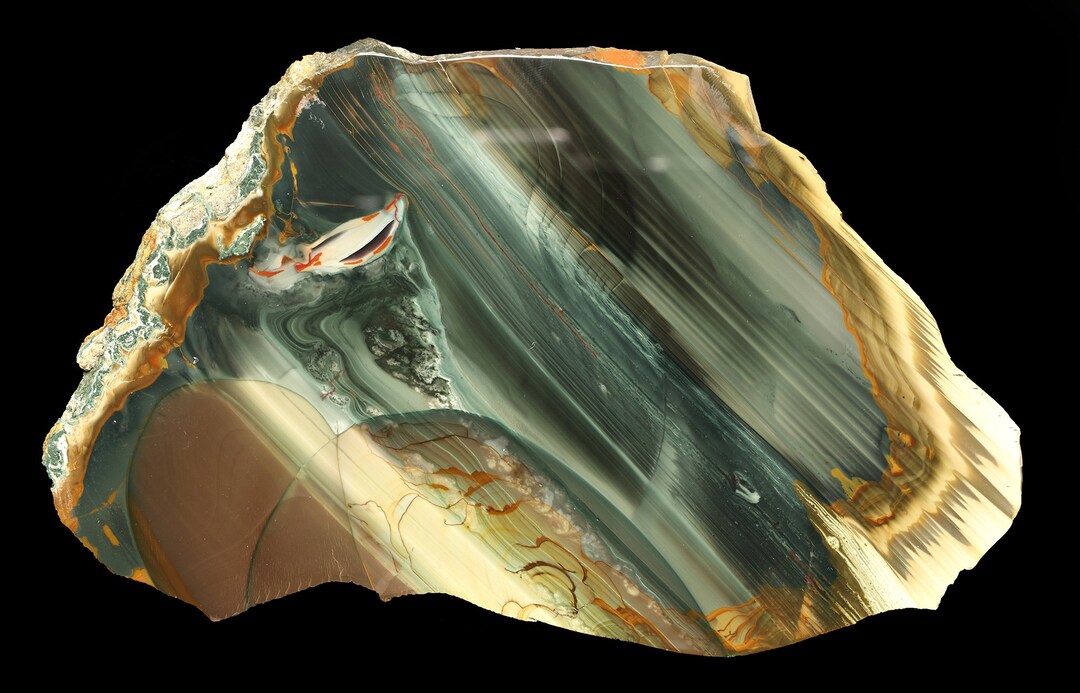 Beautiful Orbicular Blue Mountain Jasper Specimen Old Stock Polished ...