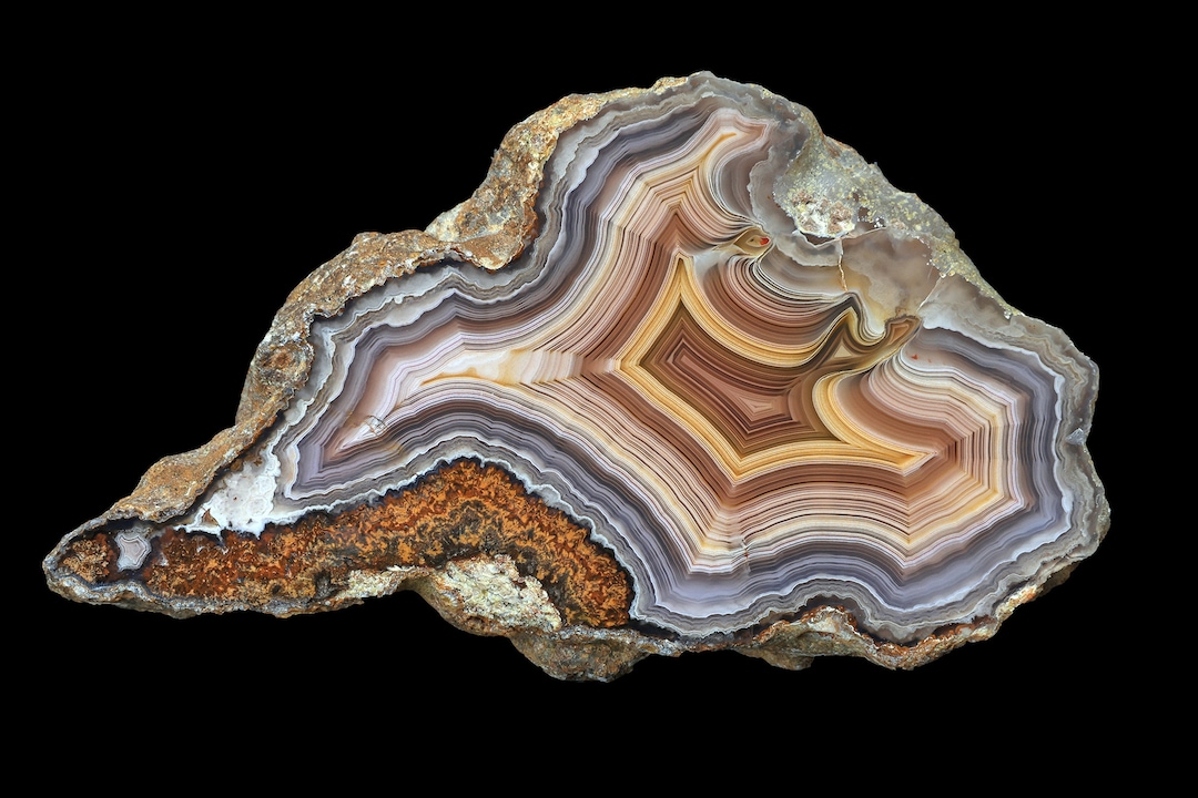 Laguna Agate AAA Grade From Mexico Collectors Grade Tight Banding ...