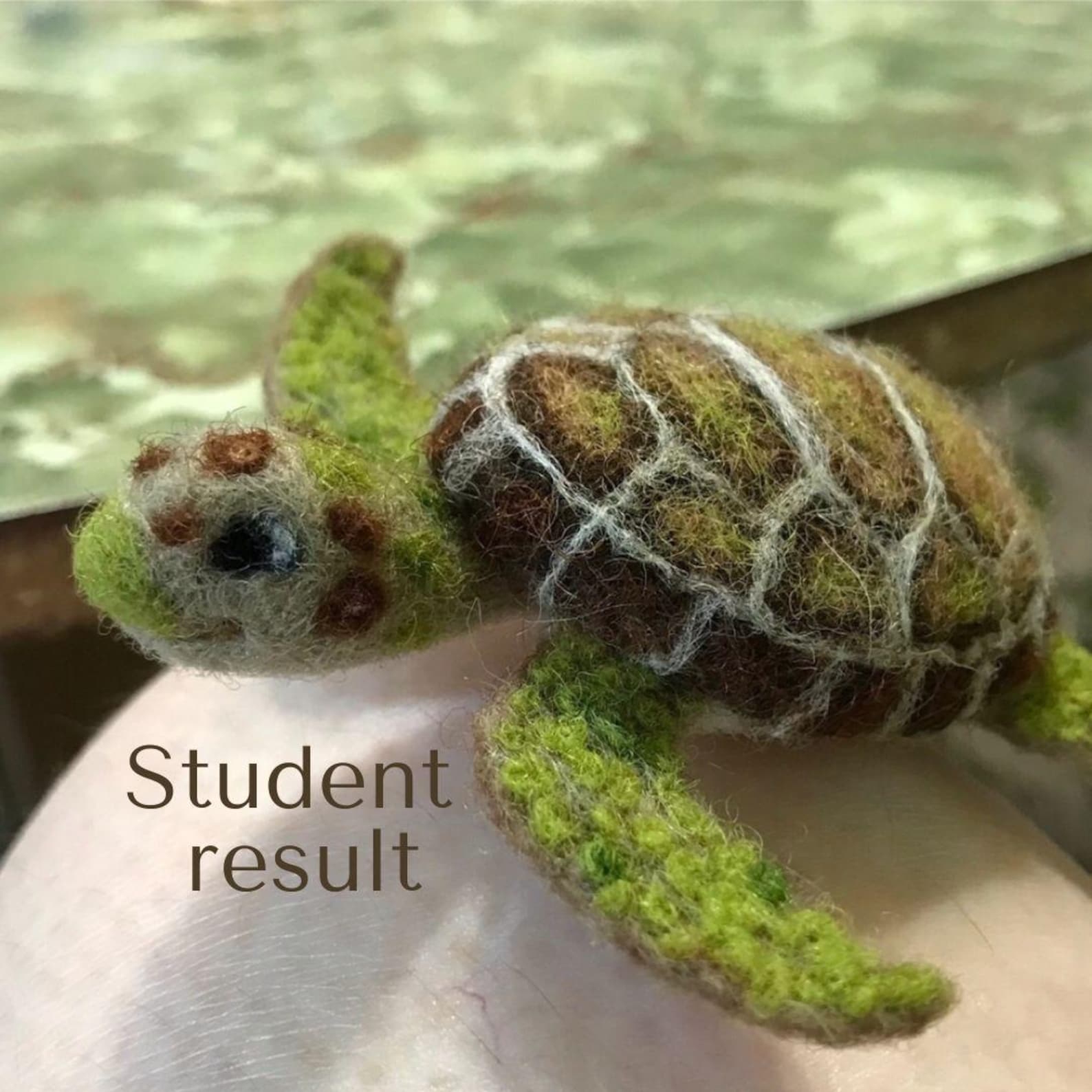 Felted Turtle Brooch Pattern Felt Tutorial Wool Needlefelting Video ...