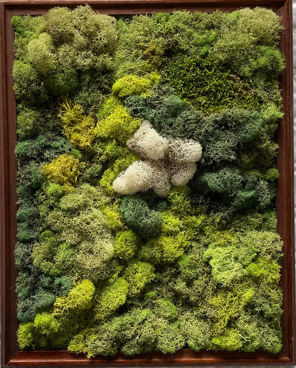 Natural Moss Art | Etsy
