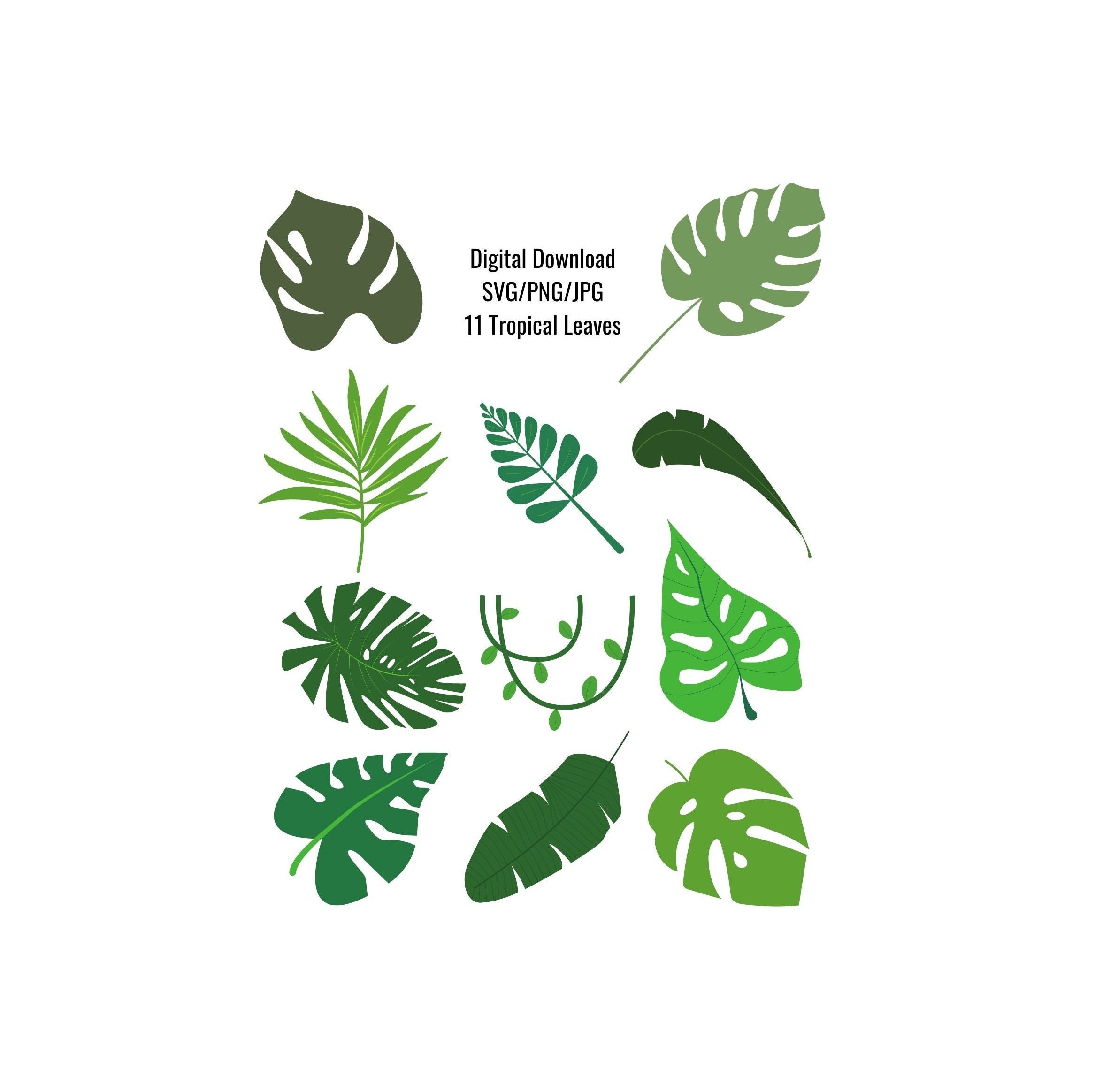 Hojas tropicales svg hoja svg hojas de selva svg jungle | Etsy México