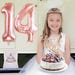 14th Birthday Decorations for Girls Including 14th Birthday Sash and ...