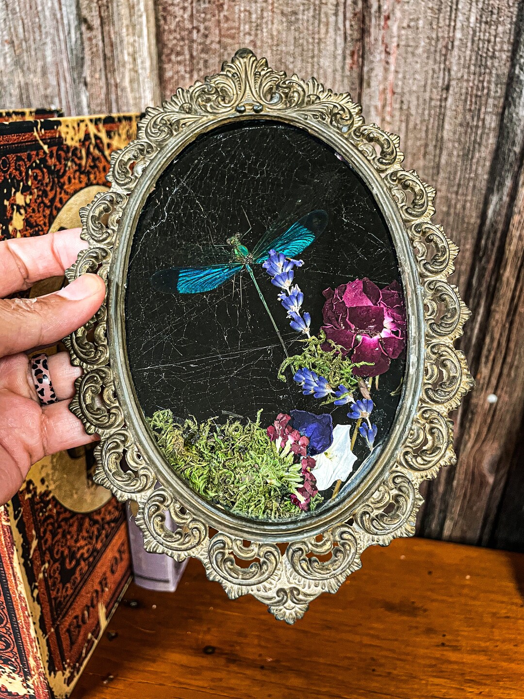 Oddities Taxidermy the Raven Harry Potter Decor Harry Potter Insects ...