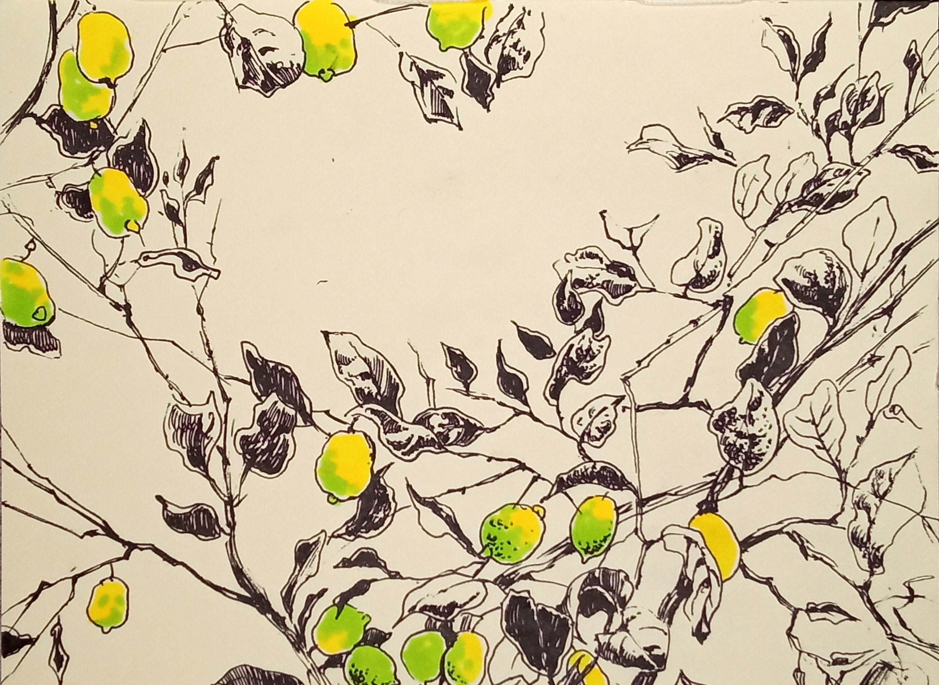 Lemon Tree Sketch Art Original Cat Artwork Pen and Ink Drawing ...