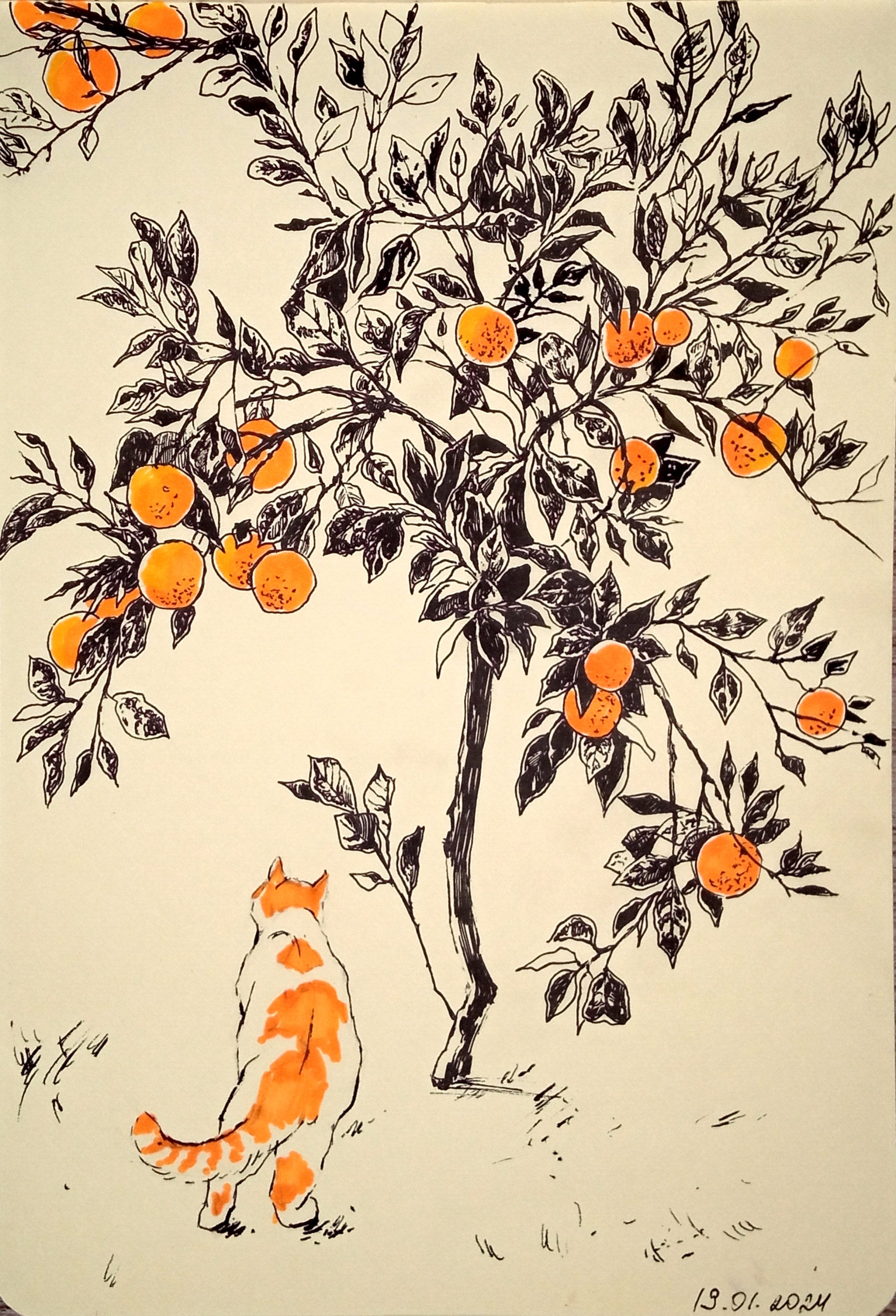 Cat Line Drawing Fruit Tree Sketch Art Original Cat Artwork Pen and Ink ...