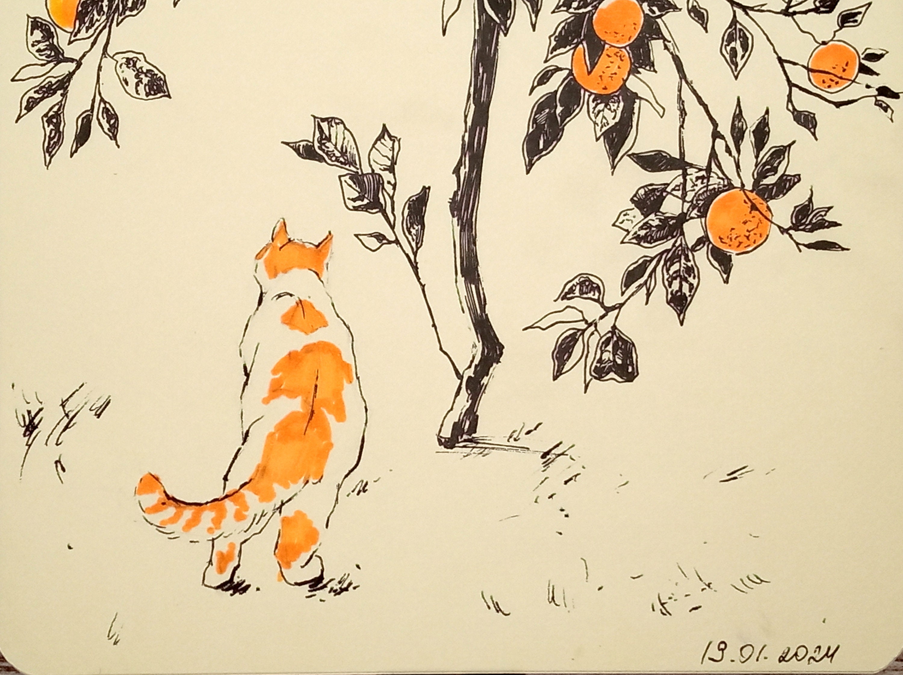 Cat Line Drawing Fruit Tree Sketch Art Original Cat Artwork Pen and Ink ...