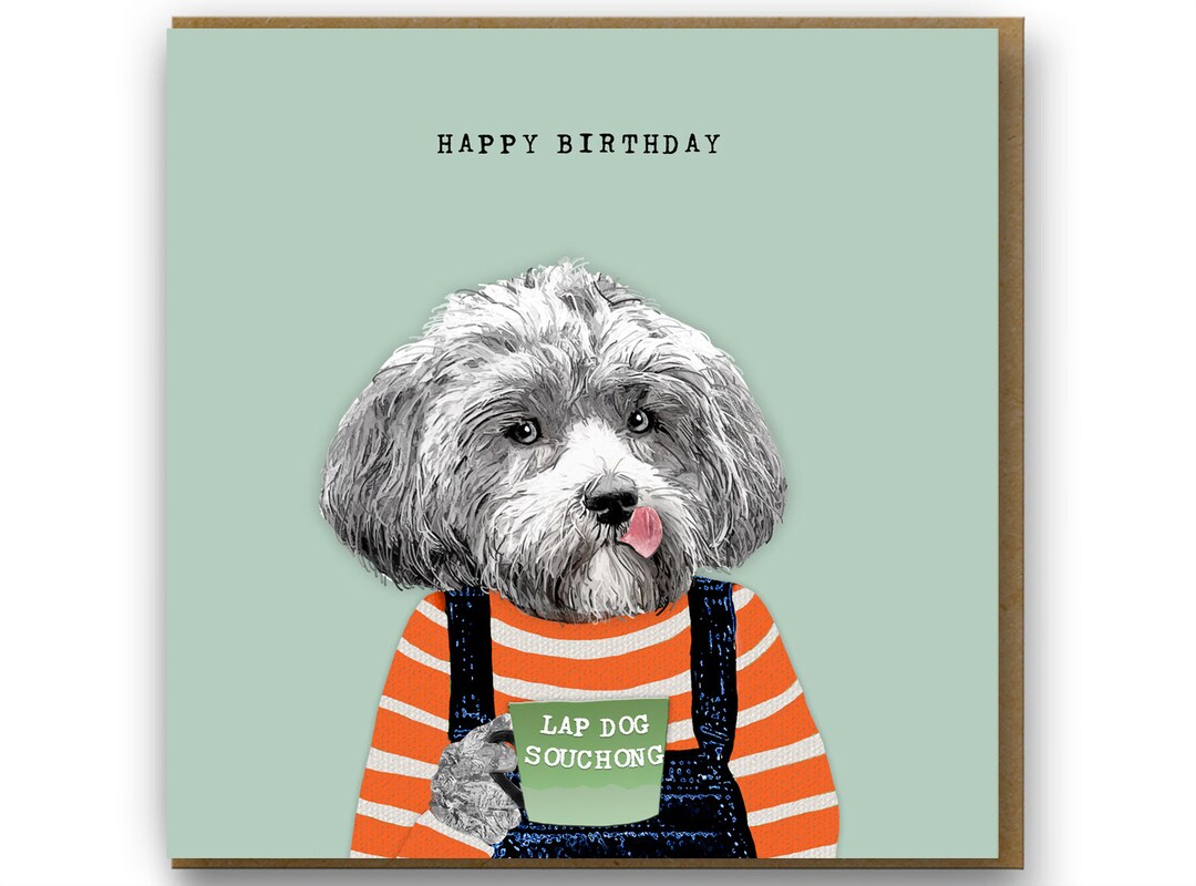 Funny Lap Dog Card - Perfect for Owner of Shihtzu, Maltese, Havanese or ...