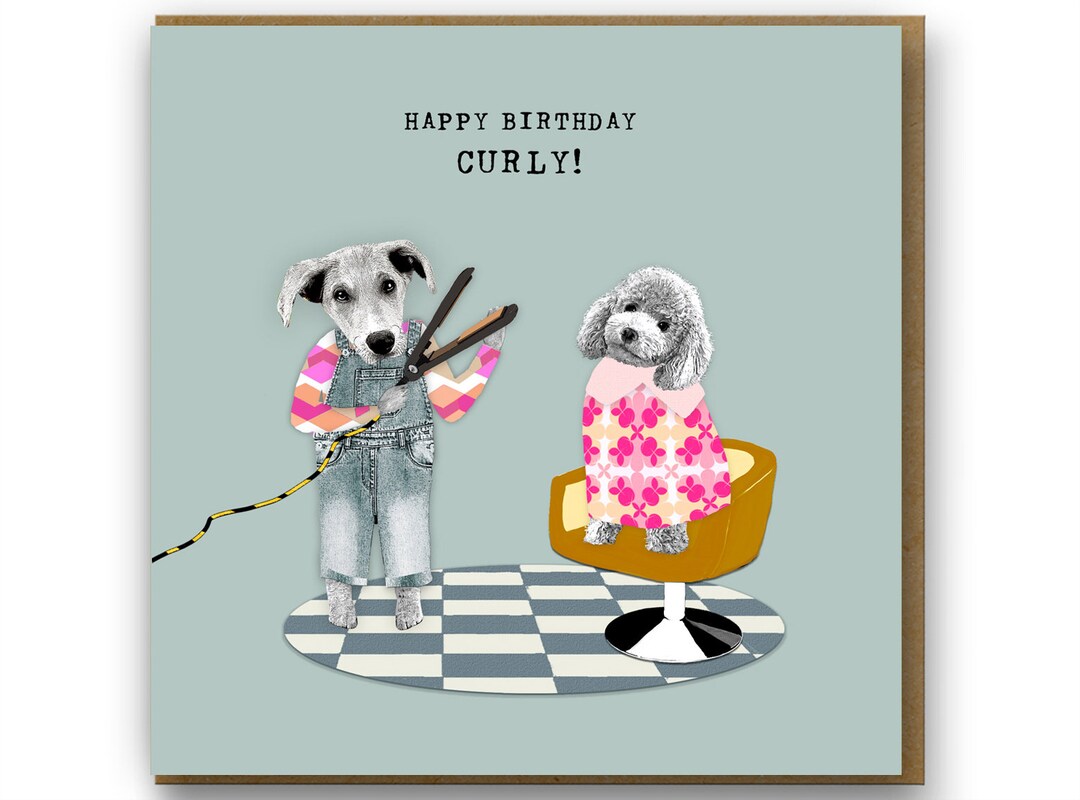 Funny Birthday Card for Curly Haired Friend, Poodle at Hairdressers ...