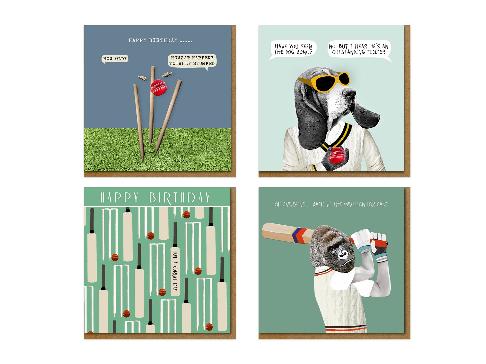 Fun Cards for Cricket Fans, Set of 4 Cricket Themed Birthday Cards ...