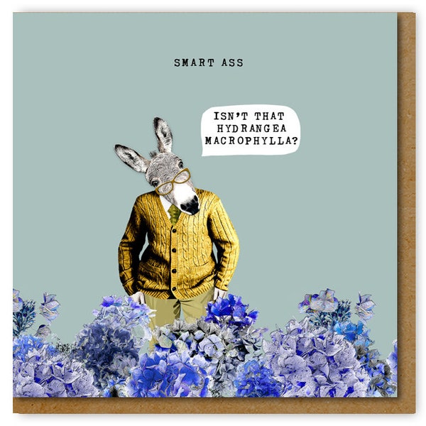 Smart Ass Birthday Cards Etsy