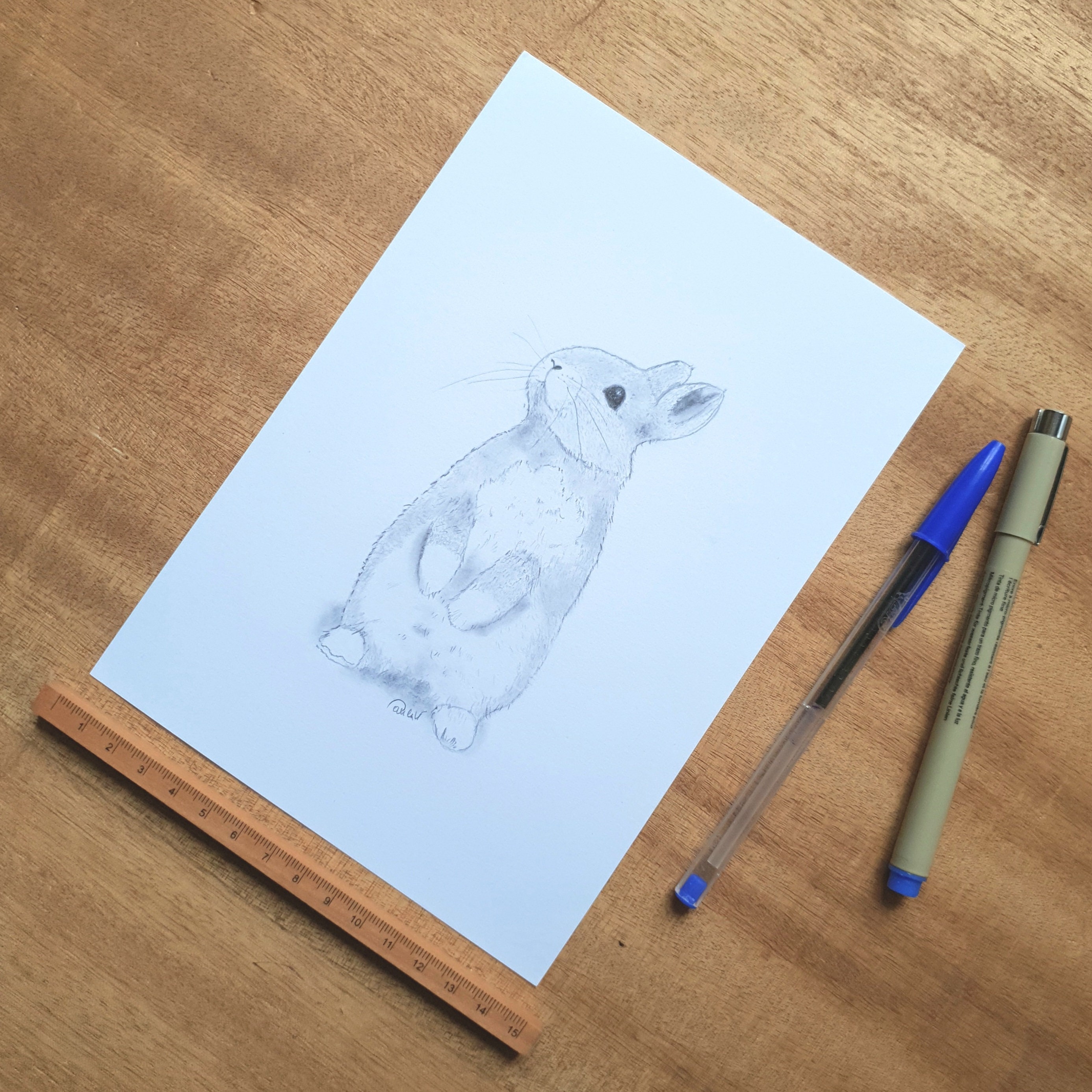 Graphite Pencil Drawing of an Adorable Rabbit. Drawing Entirely ...