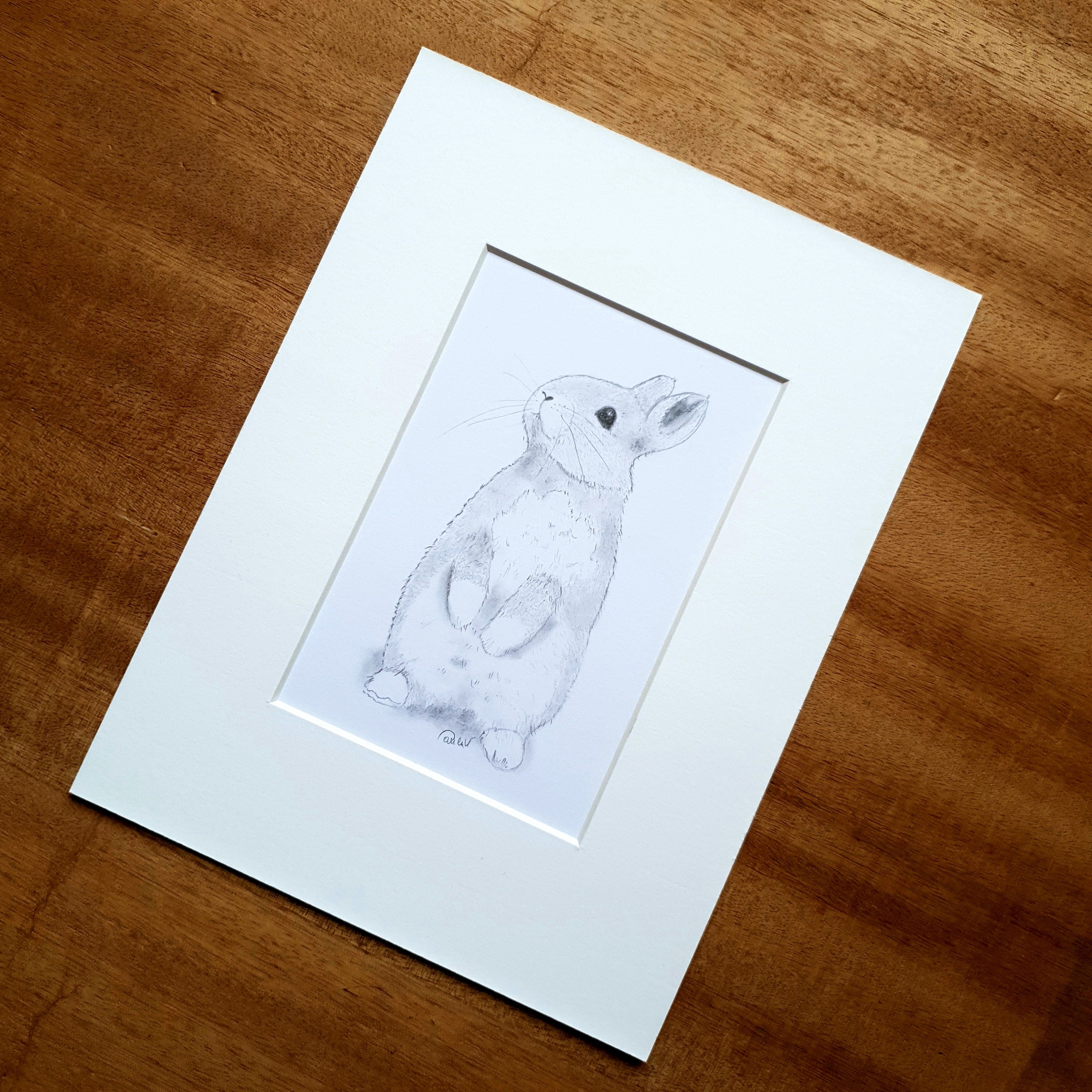 Graphite Pencil Drawing of an Adorable Rabbit. Drawing Entirely ...