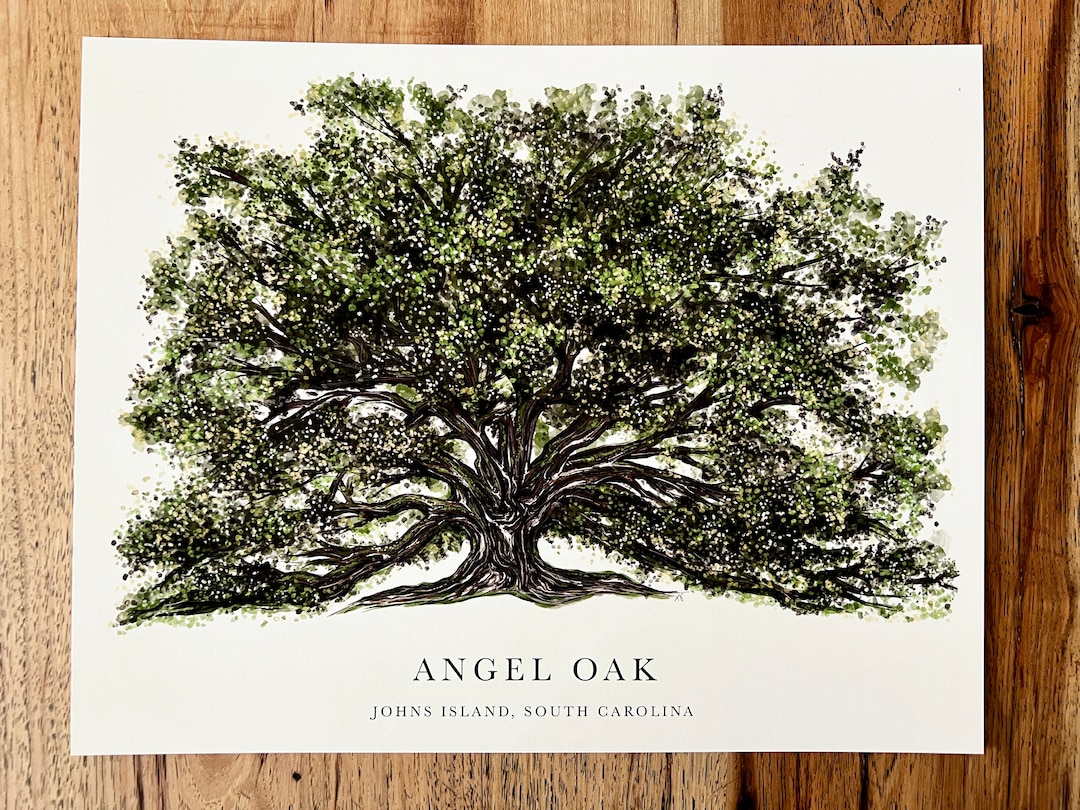 Drawing of the Majestic Angel Oak Tree in Johns Island; Angel Oak Art ...