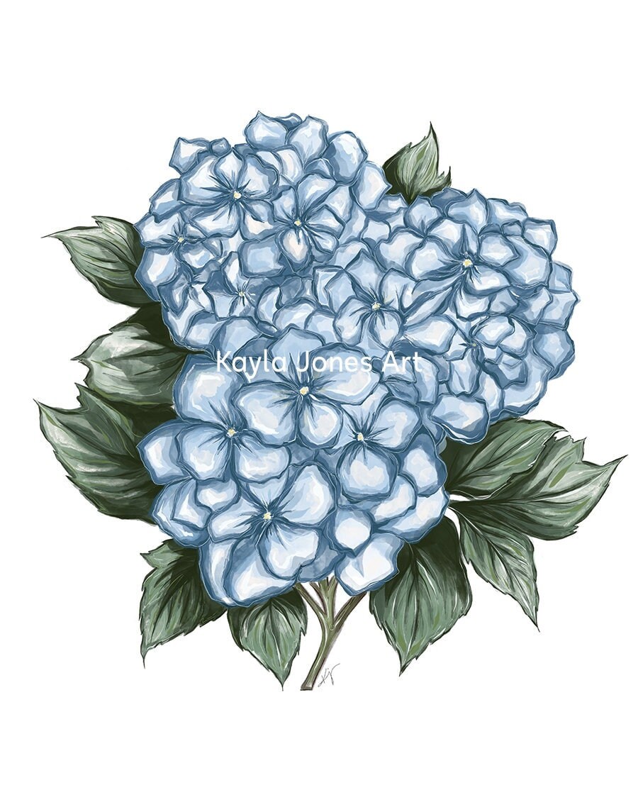 Blue Hydrangea Print - Etsy