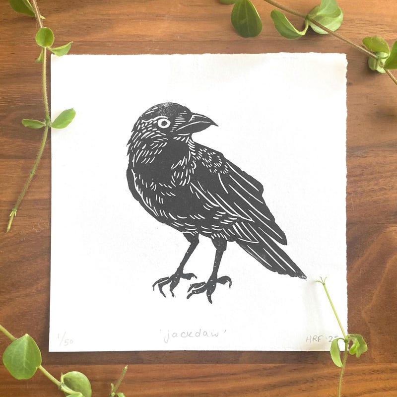 Jackdaw - Etsy