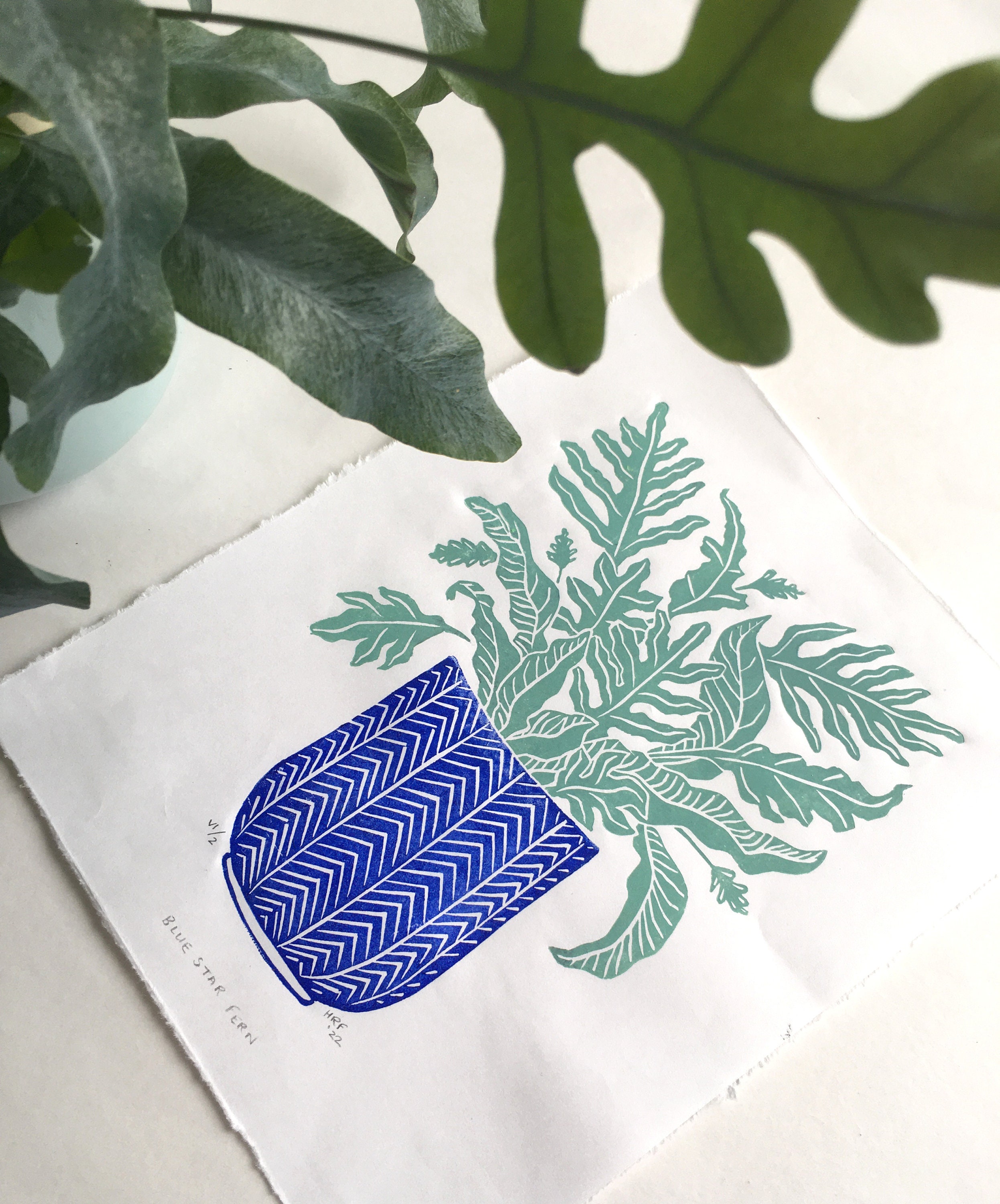 Fern Linocut Blue Star Fern Original Plant Lino Print - Etsy