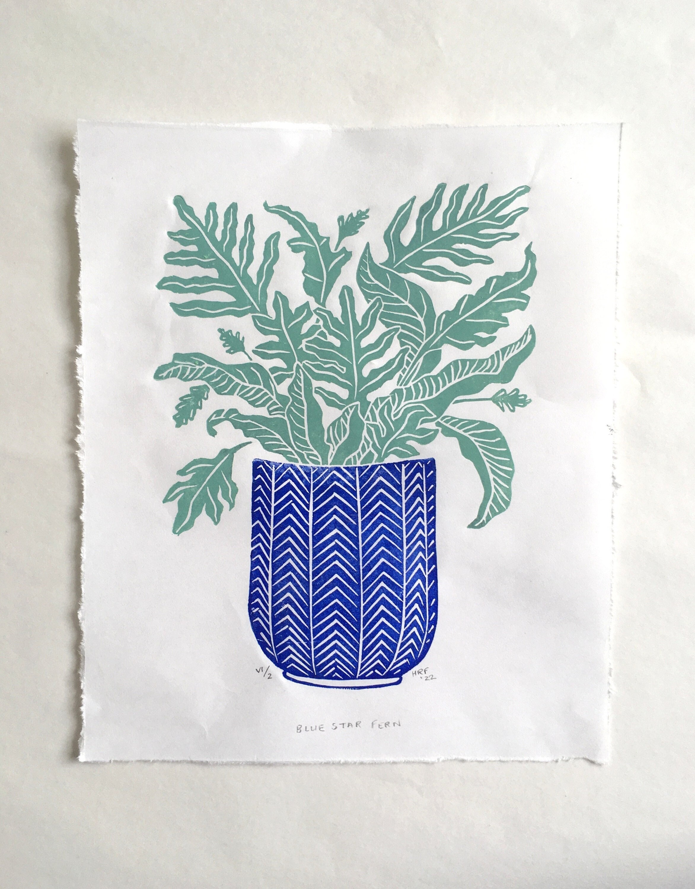 Fern Linocut Blue Star Fern Original Plant Lino Print - Etsy