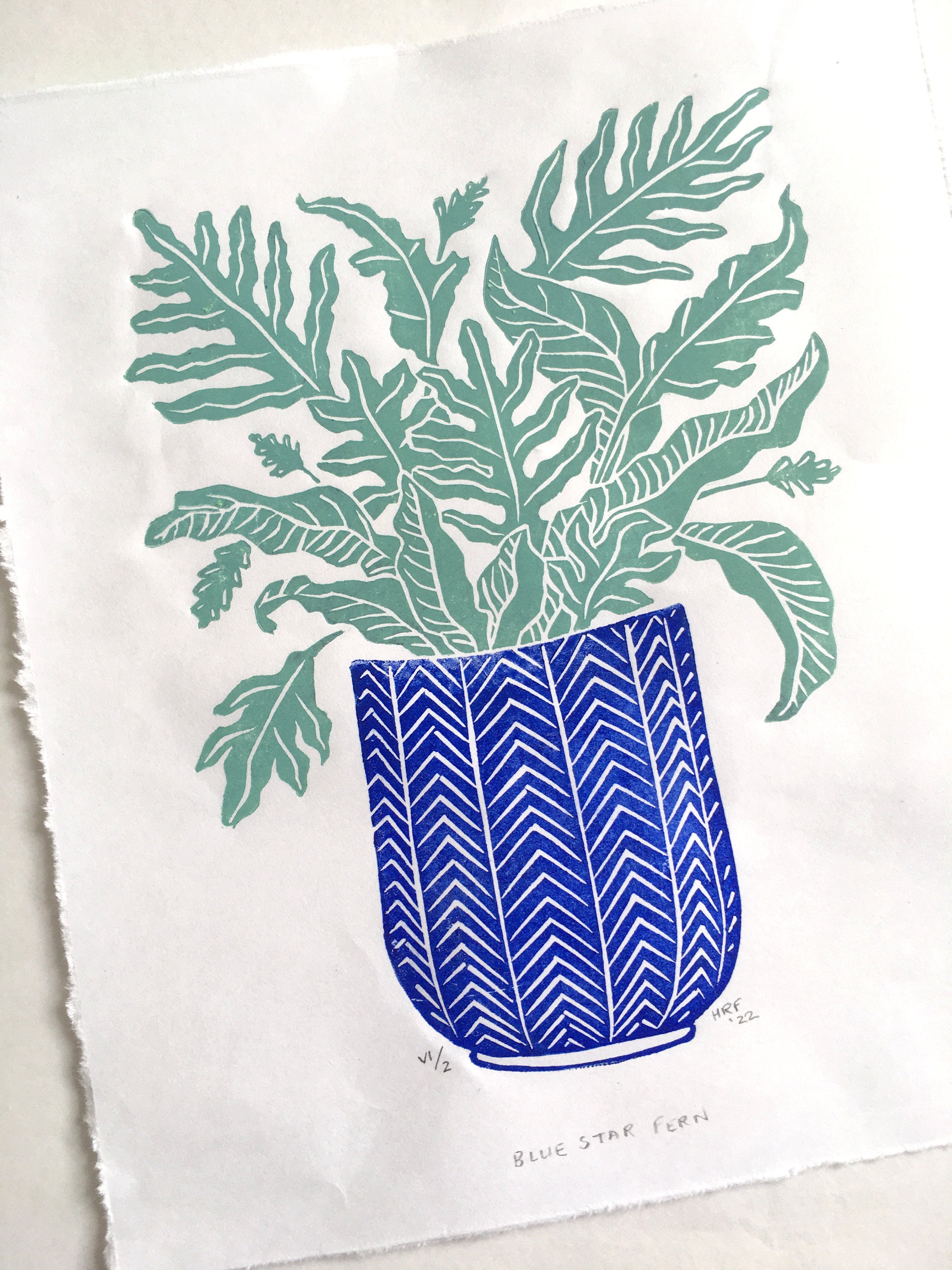 Fern Linocut Blue Star Fern Original Plant Lino Print - Etsy