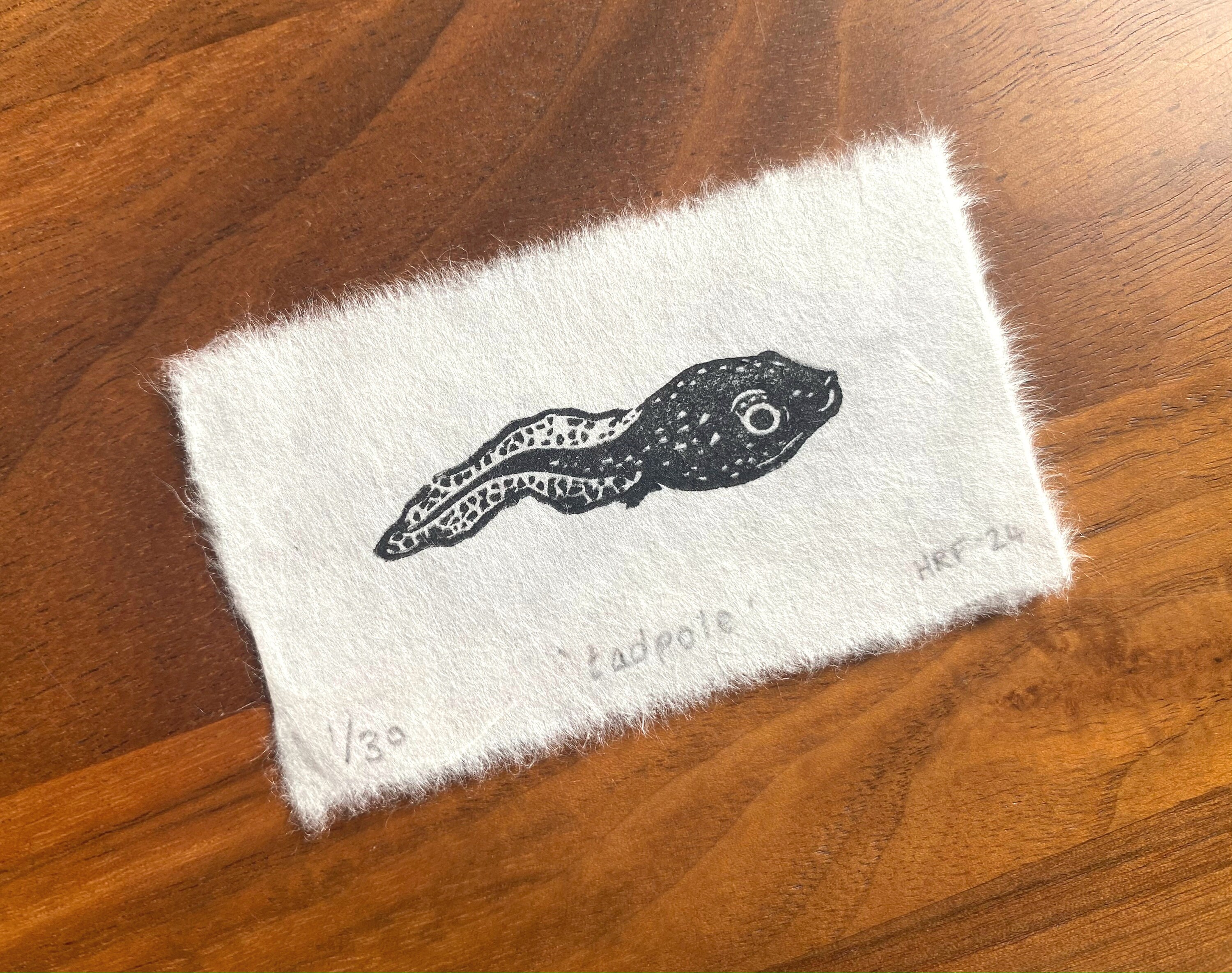 Tadpole Mini Lino Print Little Frog Linocut, Amphibian Art Gift, Pond ...
