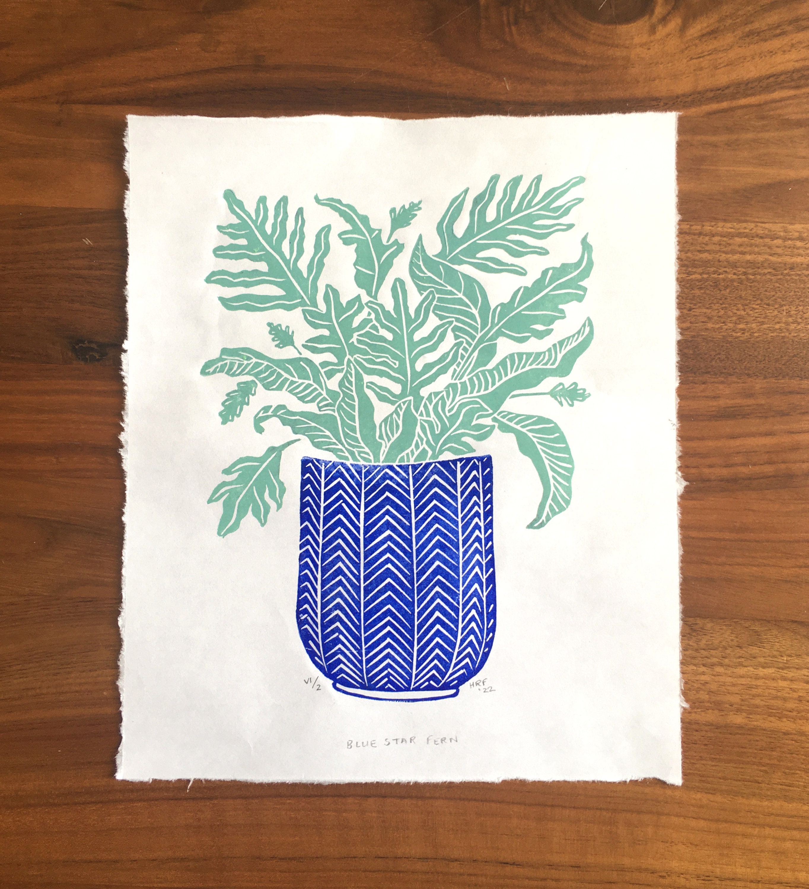 Fern Linocut Blue Star Fern Original Plant Lino Print - Etsy