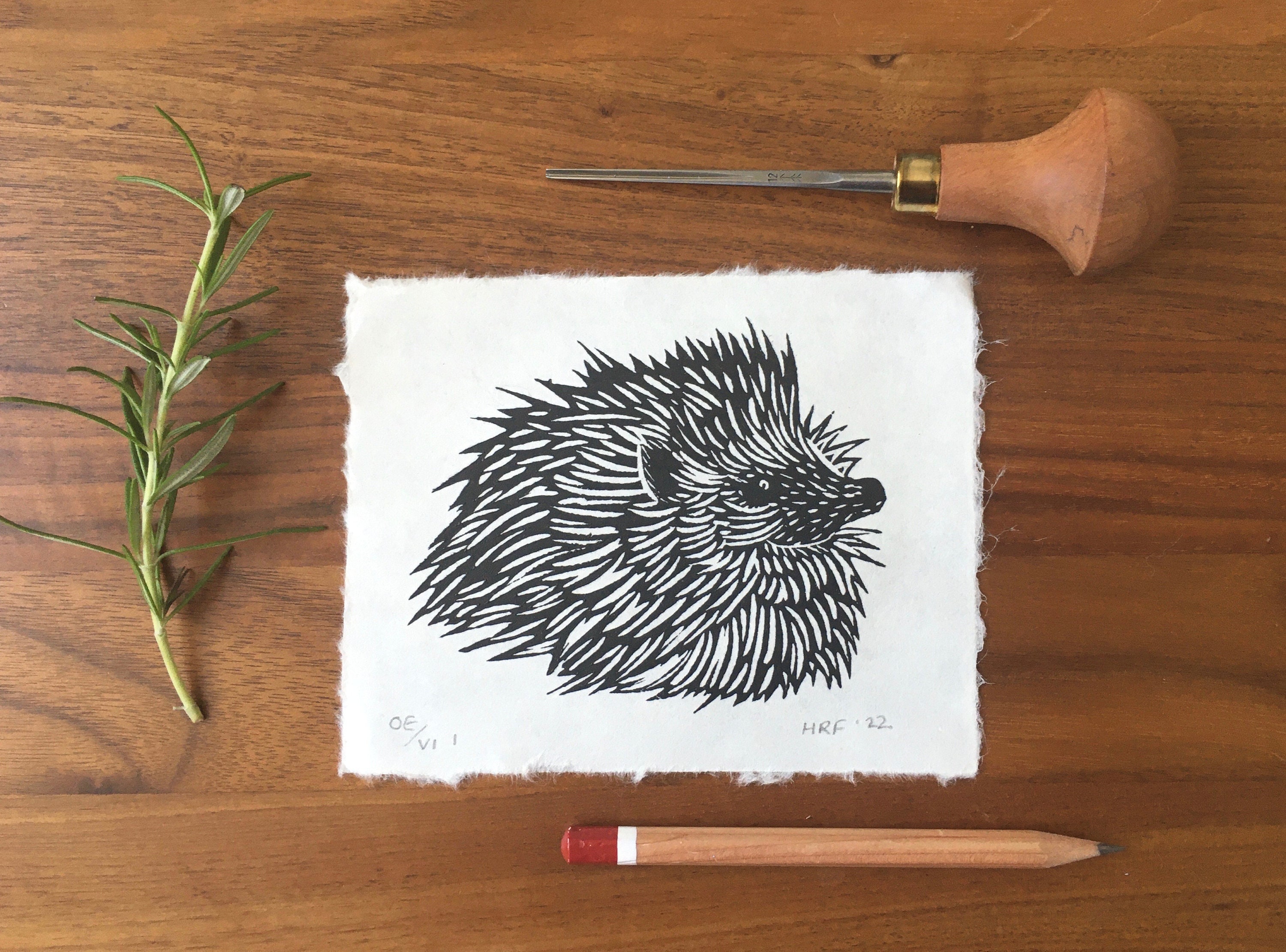 Cute Hedgehog Linocut Print Original Lino Art Kawaii Animal - Etsy