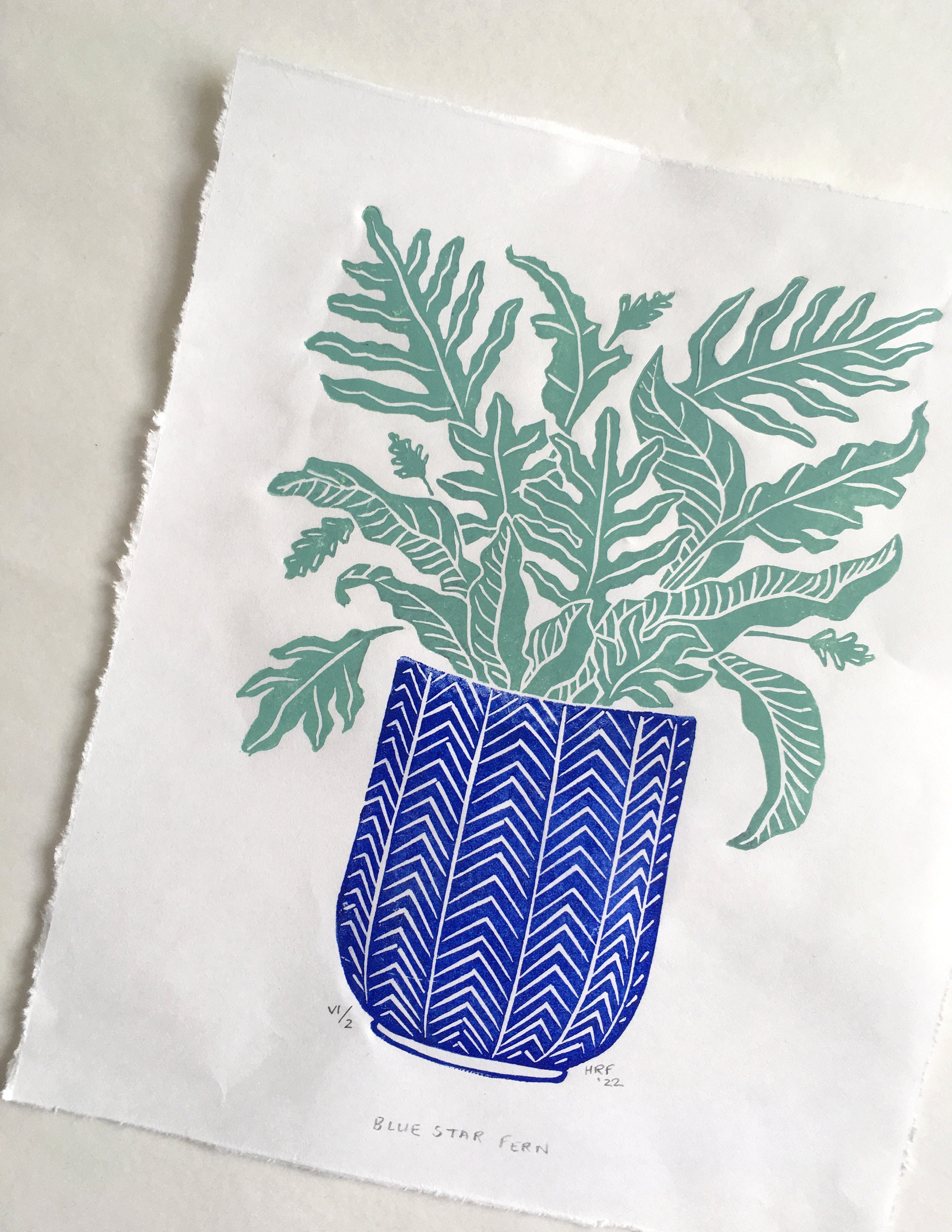 Fern Linocut Blue Star Fern Original Plant Lino Print - Etsy
