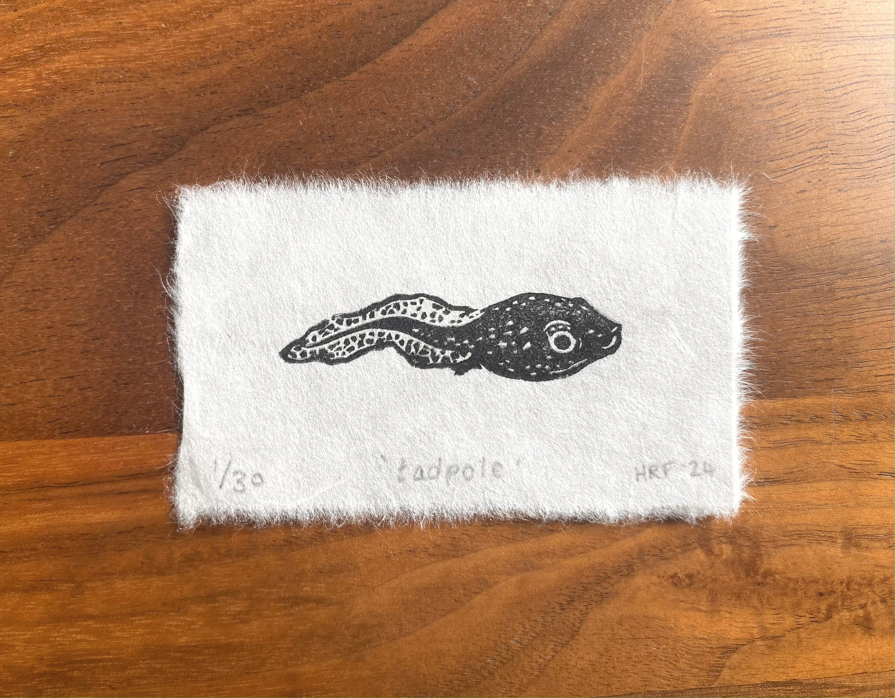 Tadpole Mini Lino Print Little Frog Linocut, Amphibian Art Gift, Pond ...
