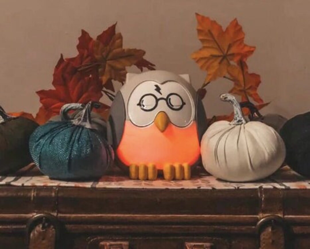 Diffuser Decal | Feather the Owl Glasses | HP Wizard Glasses - Etsy