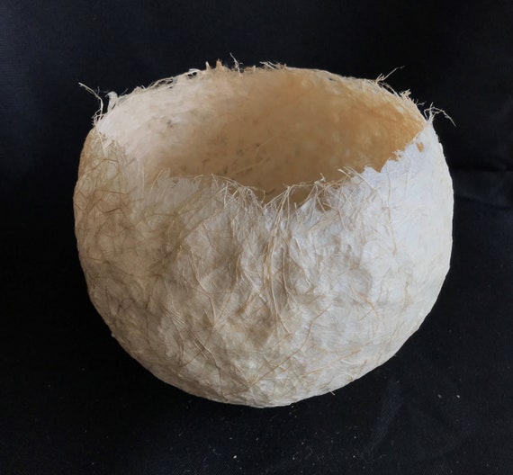 Delicate Paper Bowl | Etsy