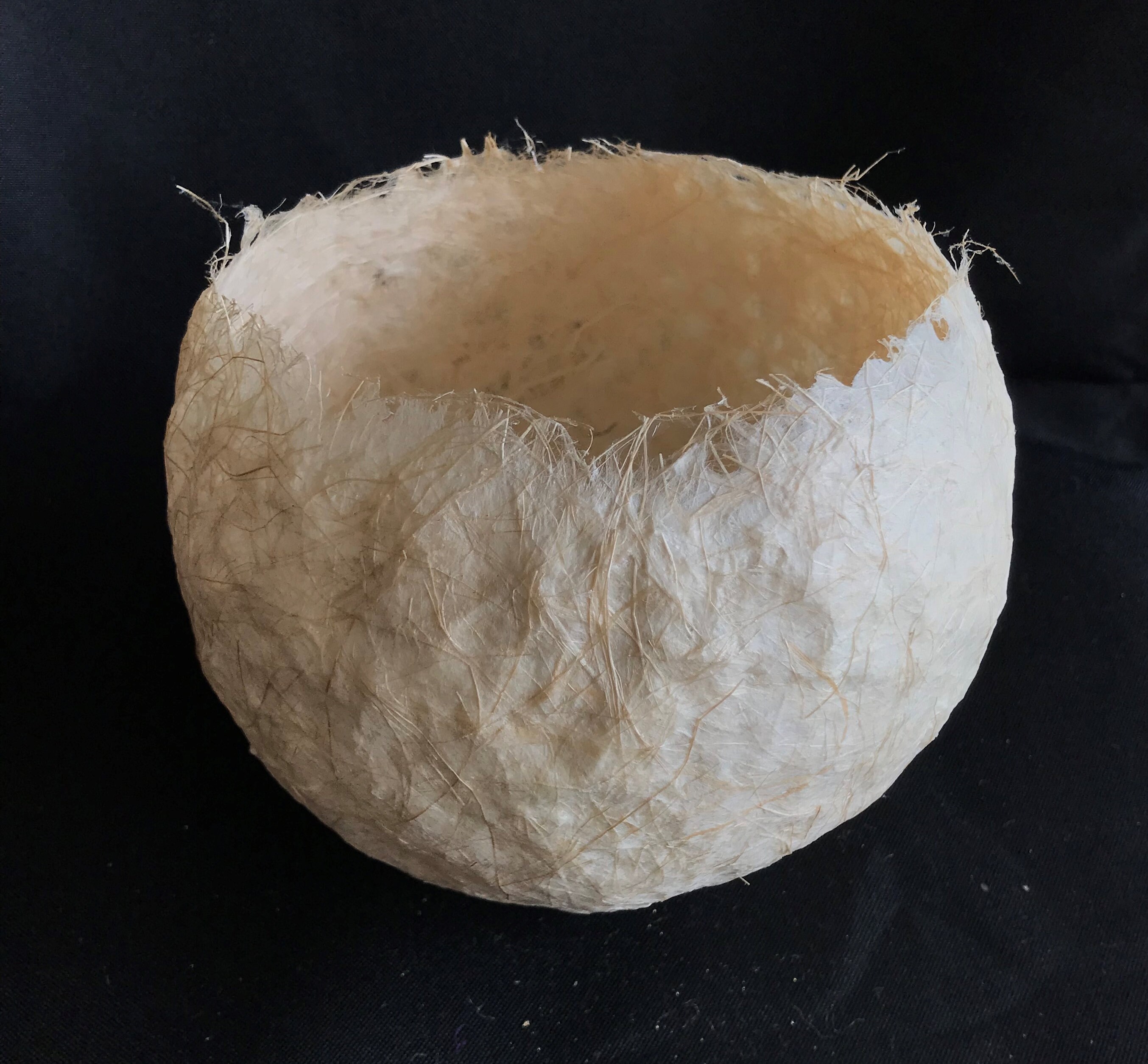 Delicate Paper Bowl - Etsy