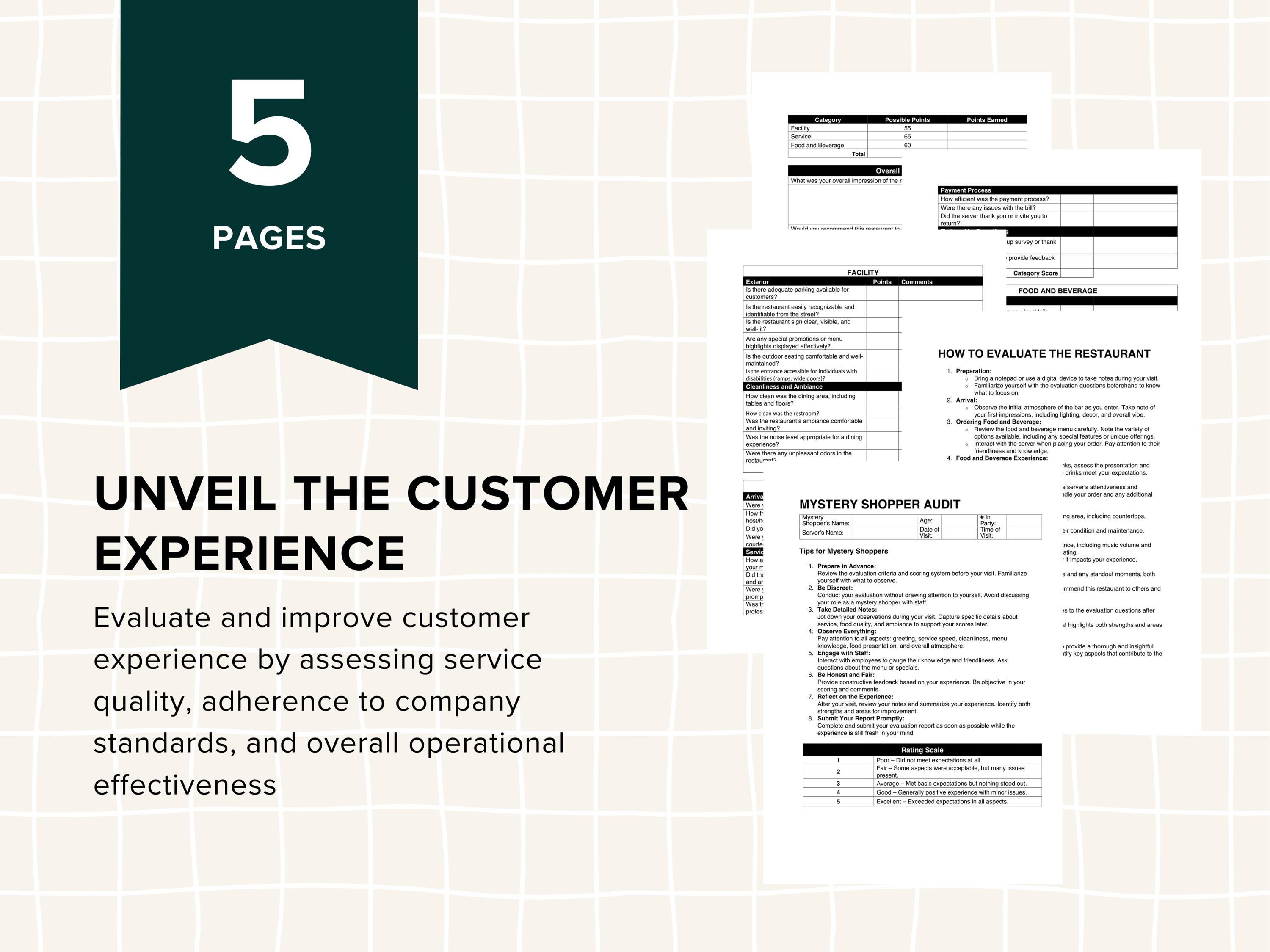 Mystery Shopper Audit for Restaurant Customer Experience Report ...