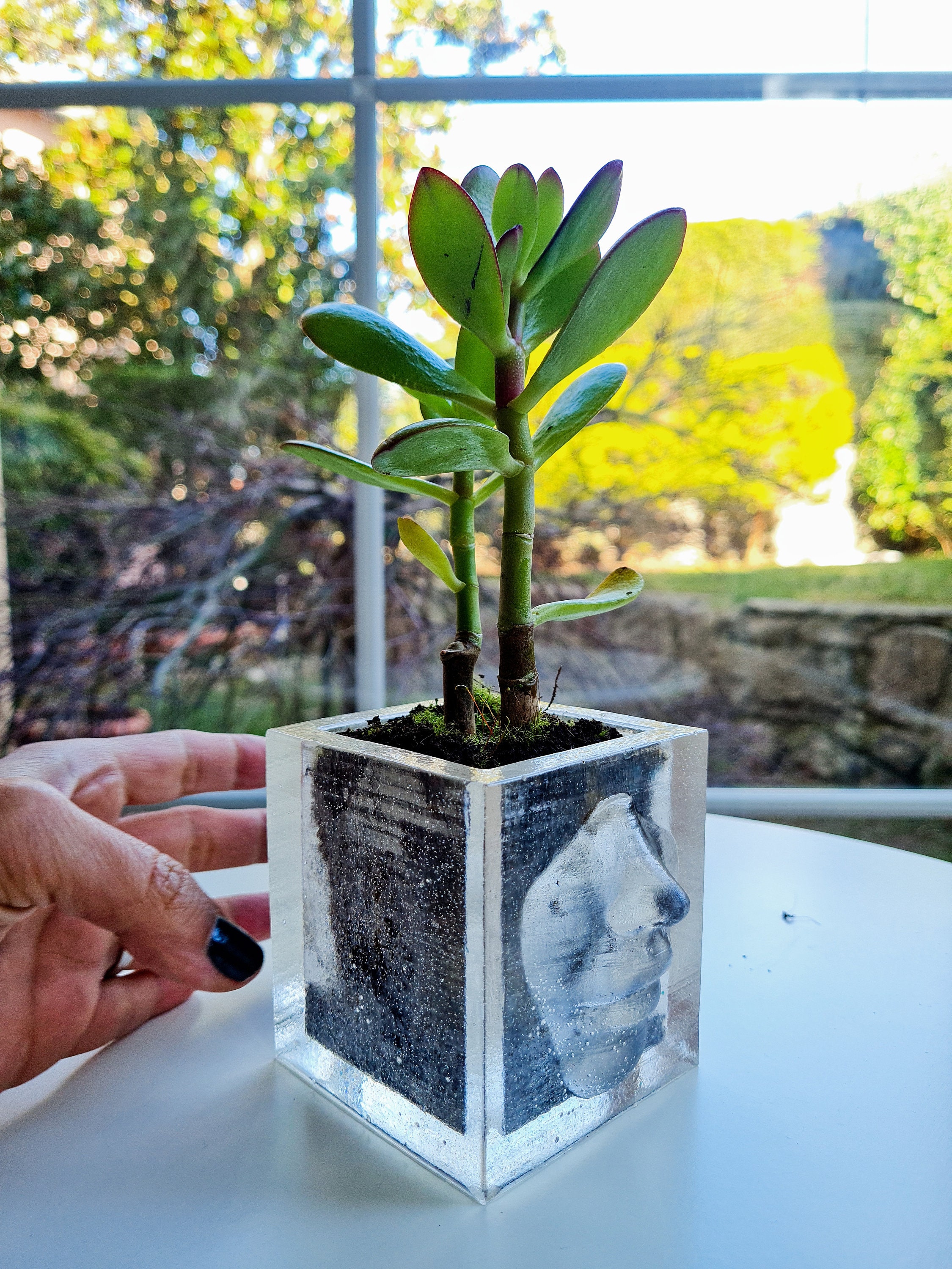 Sculpture Pot Nordic Design Plant Pot Unbreakable Transparent Inspired ...