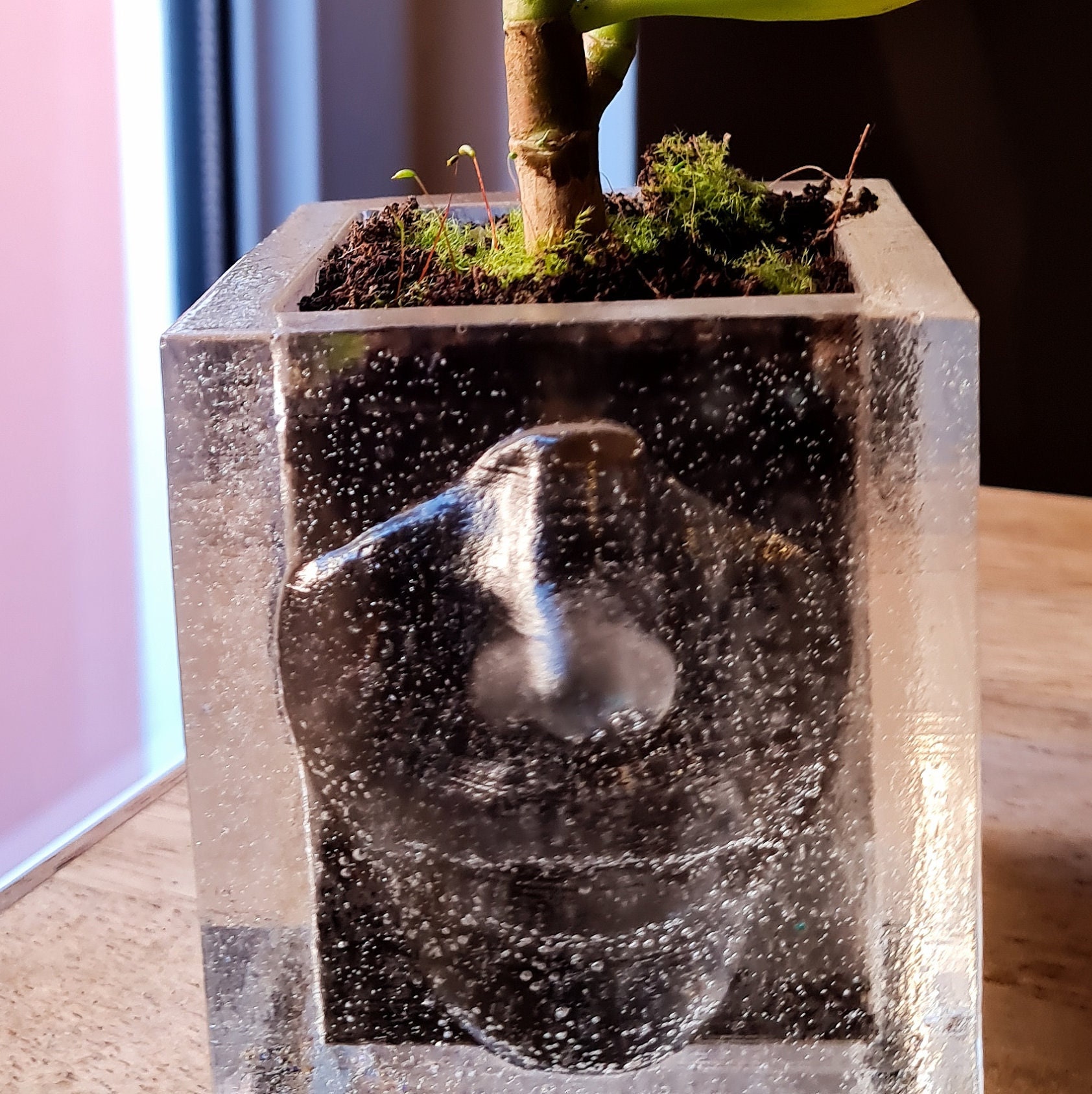 Sculpture Pot Nordic Design Plant Pot Unbreakable Transparent Inspired ...