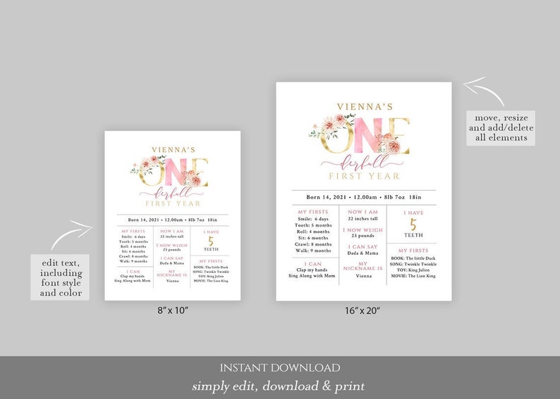1st Birthday Milestone Sign, Onederful Year, First Birthday Poster ...