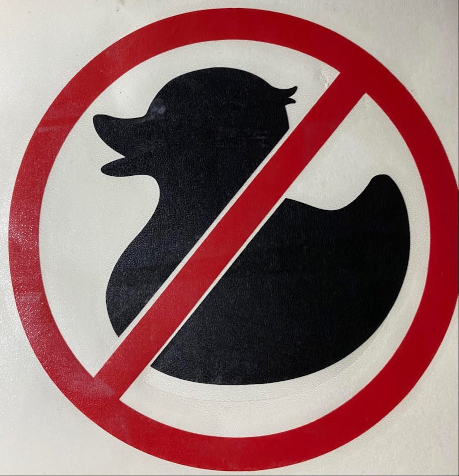 No Duck Decal - Etsy