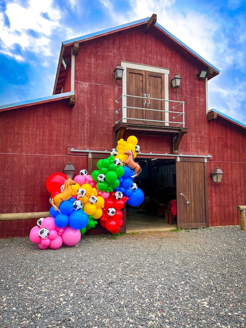 Farm Garland DIY Balloon Garland Kit Farm First Birthday - Etsy