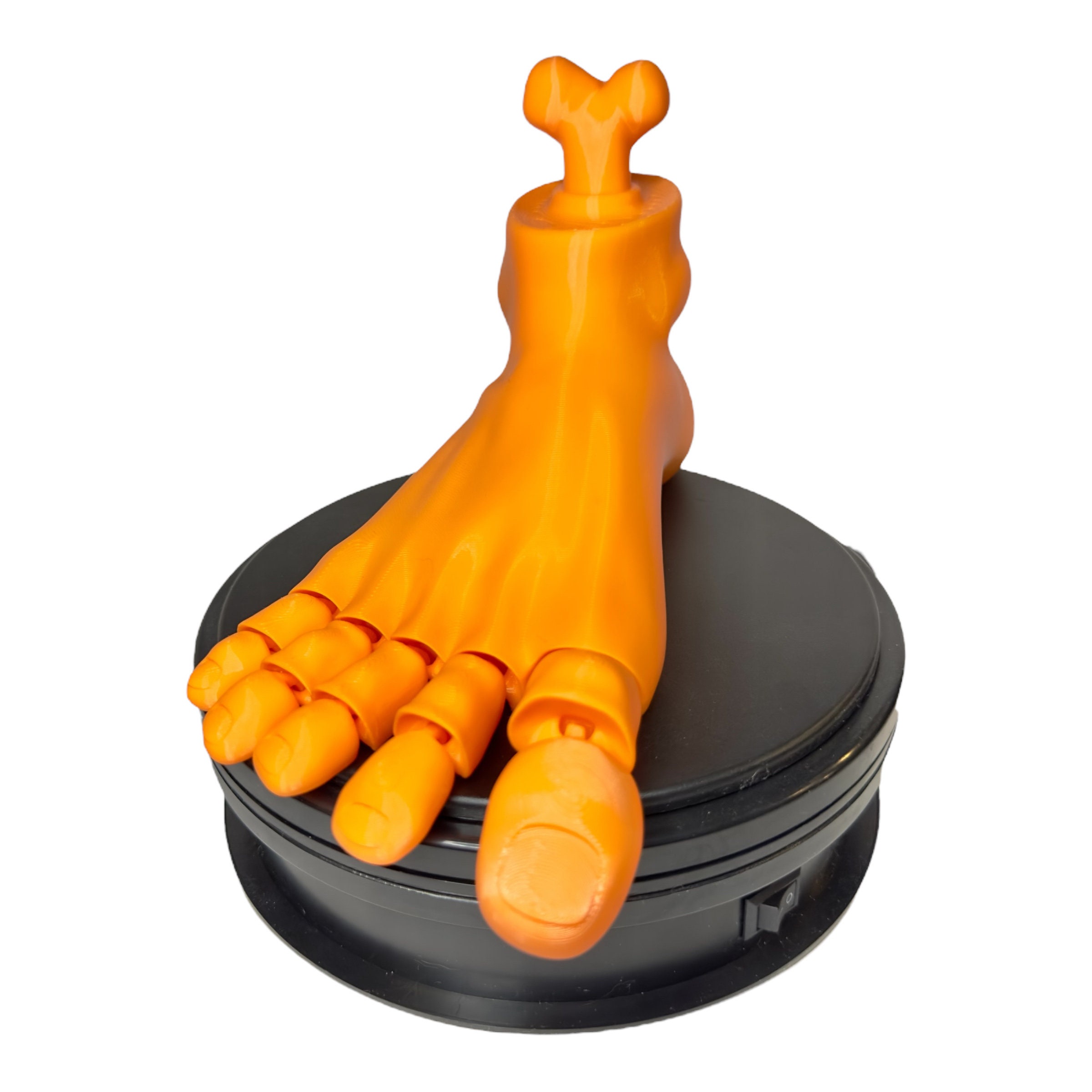 3D Printed Flexi Print-in-place Foot Right Foot by Flexi - Etsy