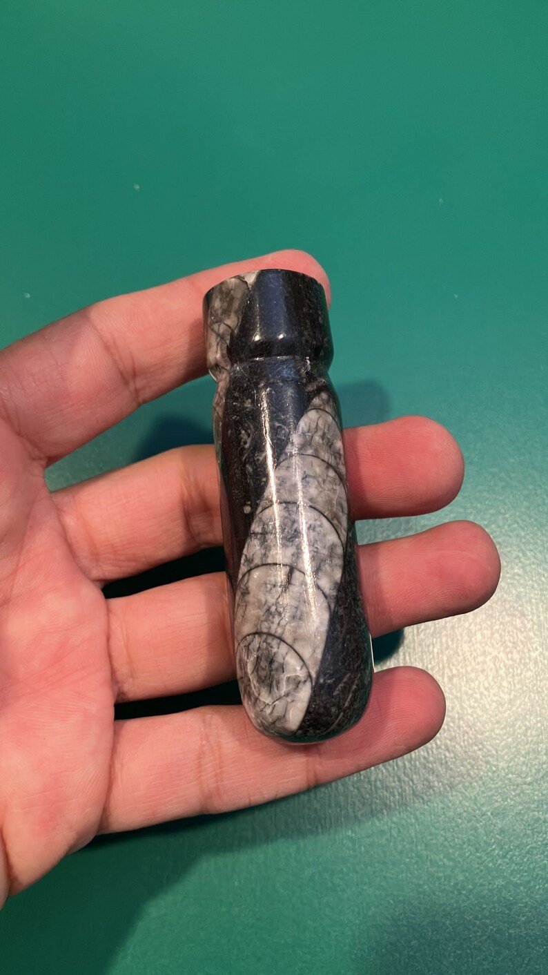 Black Orthoceras Mortar and Pestle Medium Orthoceras Fossil - Etsy