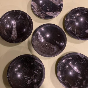 Bulk Sale! 6 Pcs Round Fossils Orthoceras Ammonite Bowls | 4 Inch ...