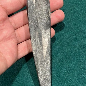 Genuine Black Orthoceras Fossil Large Orthoceras Polished - Etsy