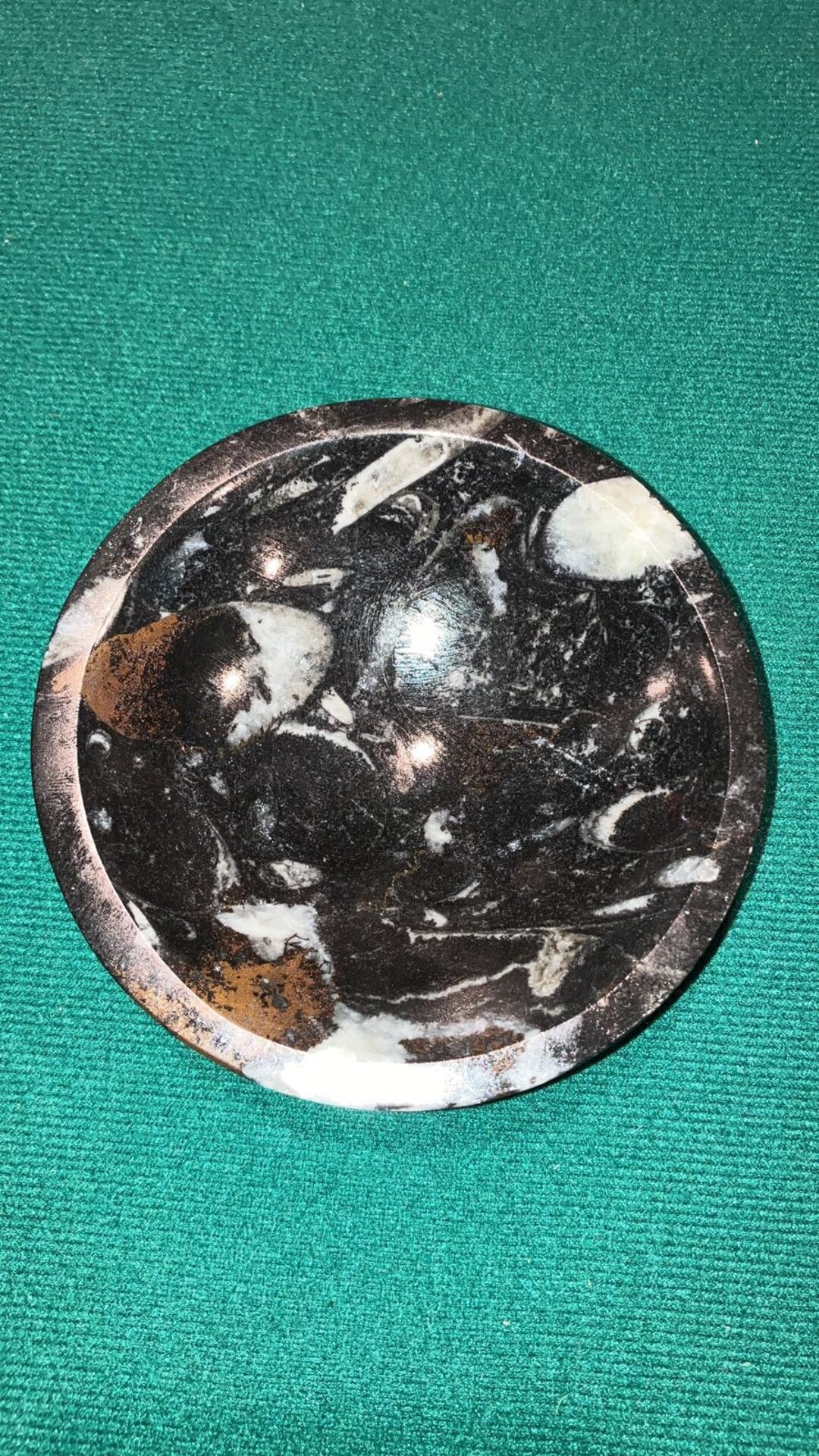 Unique 4 Inch Fossil Orthoceras Bowl Ancient Marine Life Decor ...